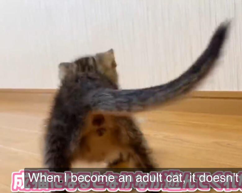 Big ol’buthole | Scrolller