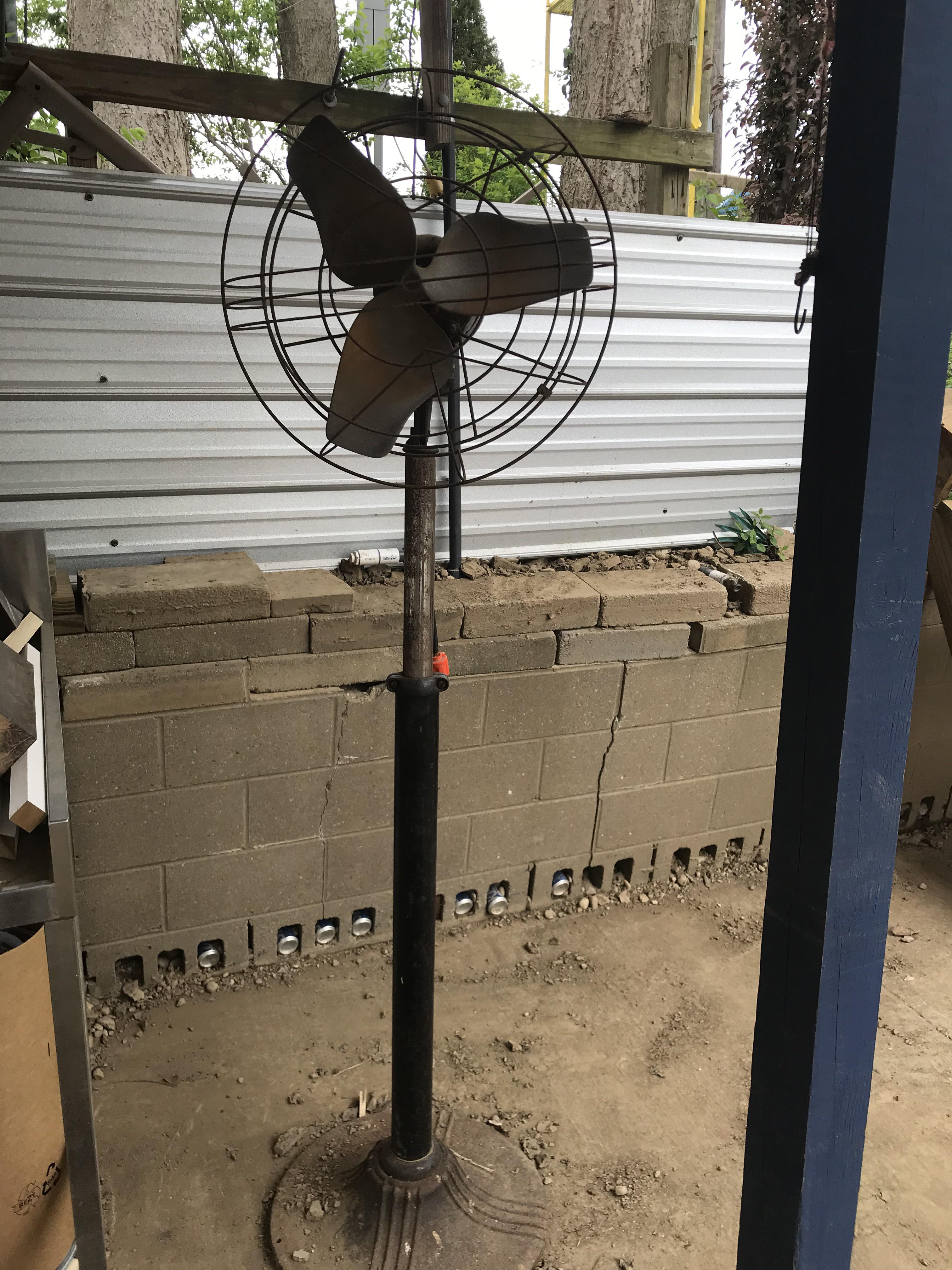 Big old fan. | Scrolller