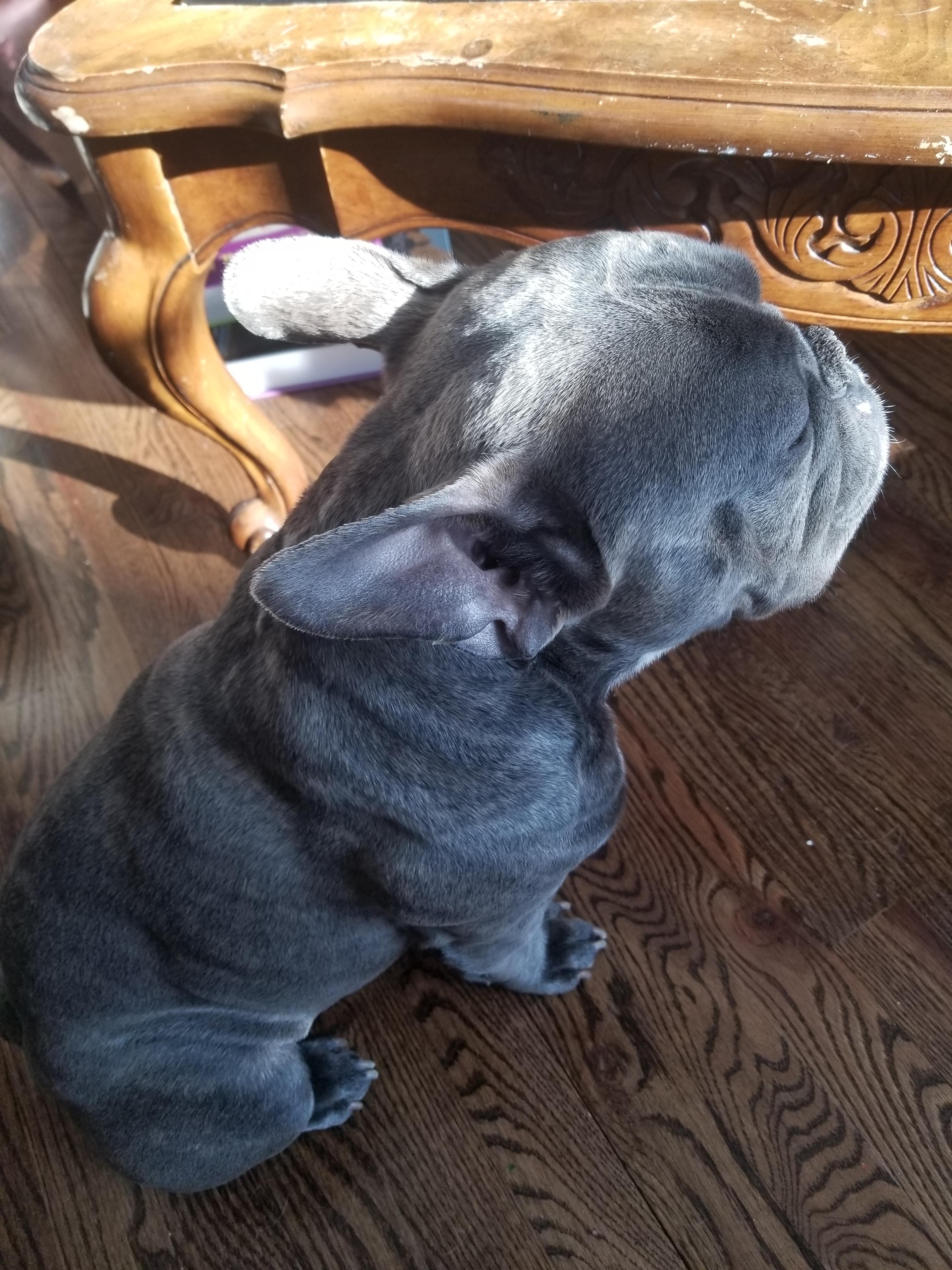 Big ole head :) | Scrolller