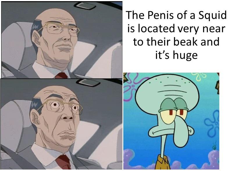 Big PP squidward | Scrolller