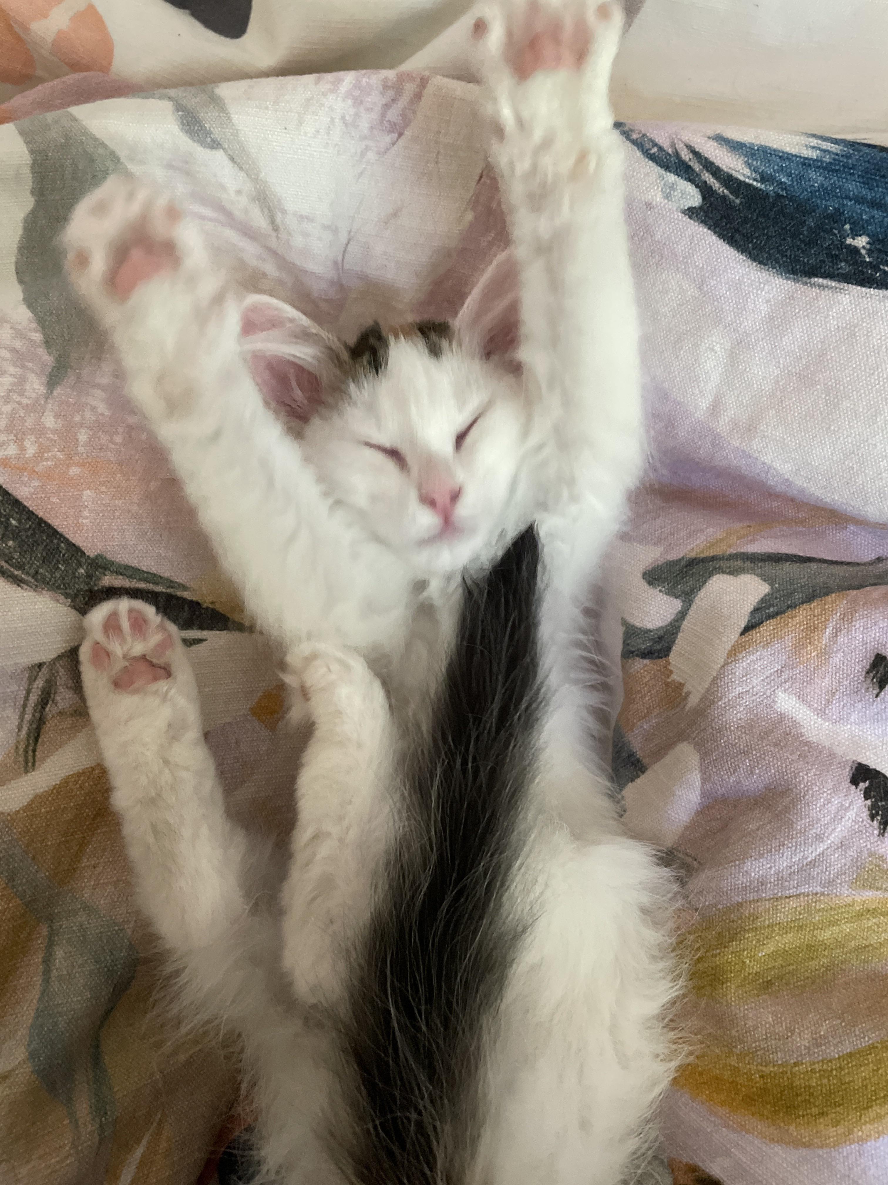 Big stretch | Scrolller