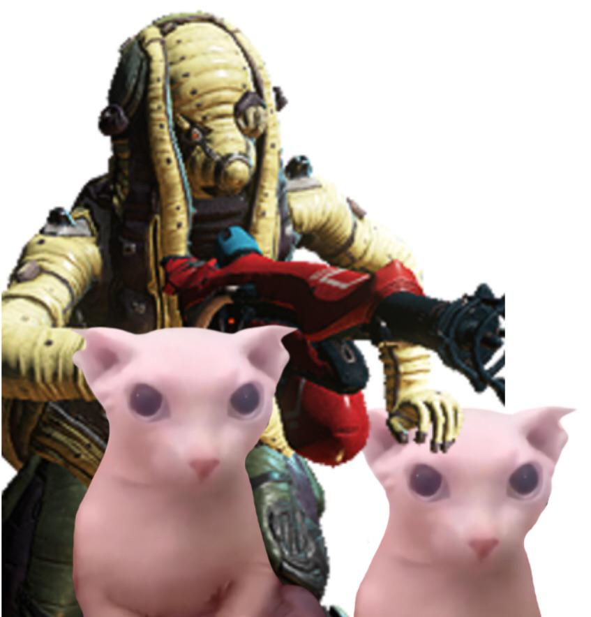 Bingus master | Scrolller