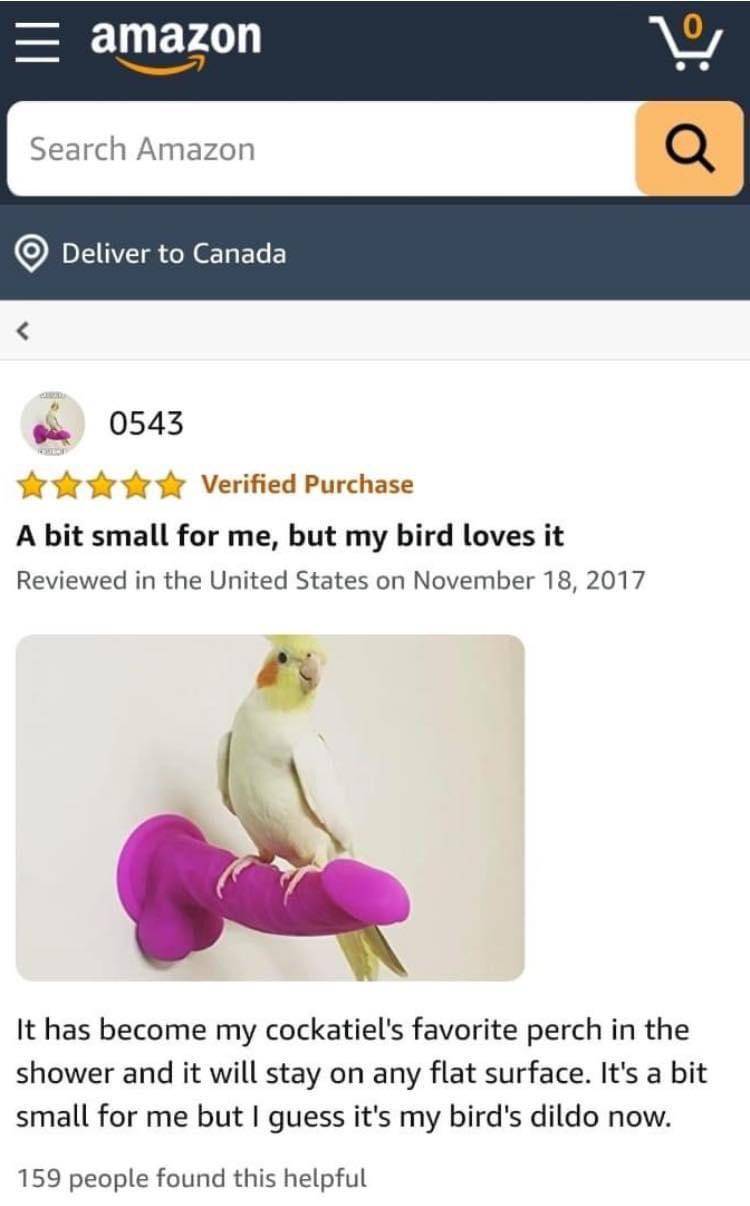 Bird dildo | Scrolller