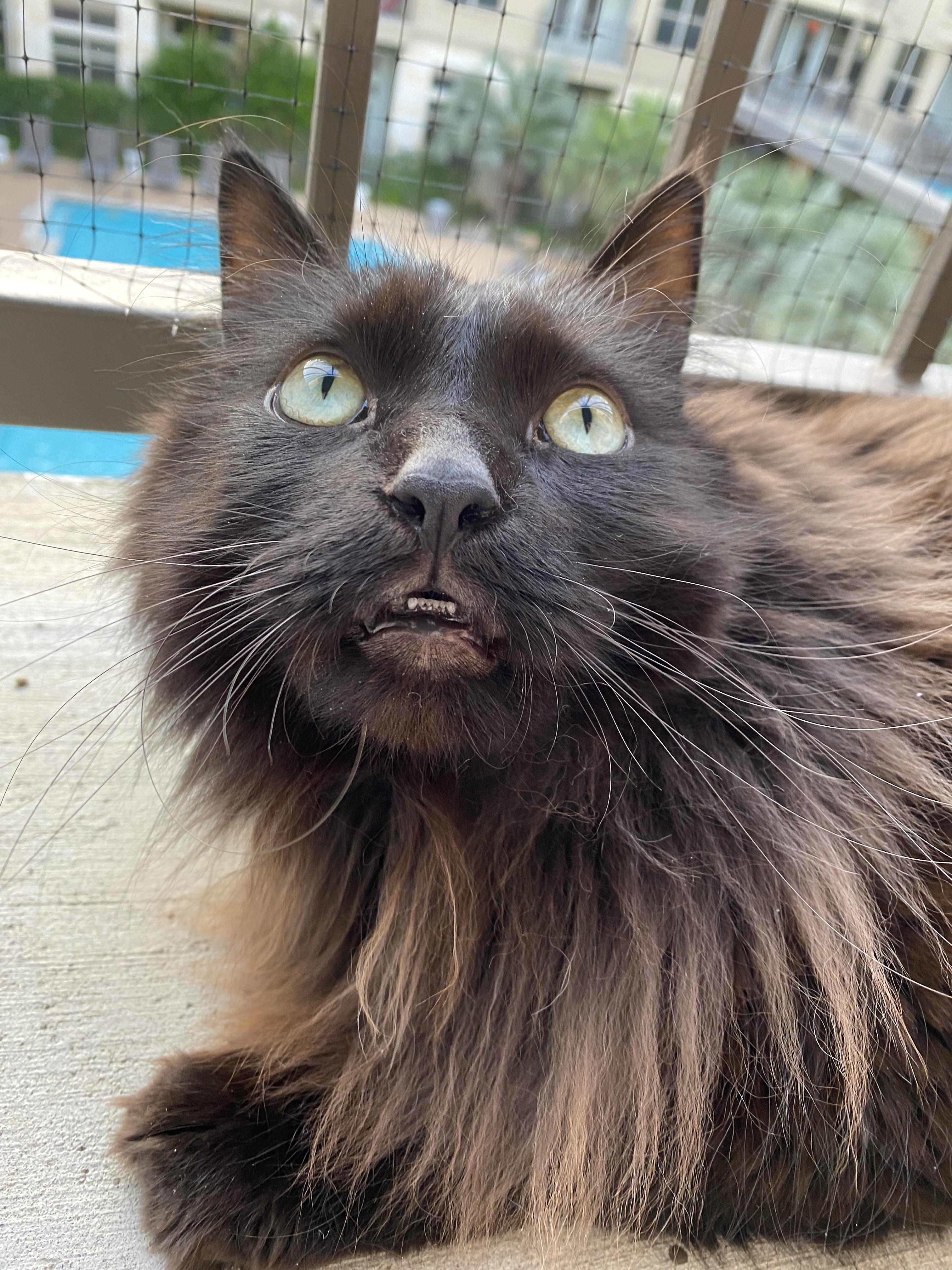 Bird watching | Scrolller