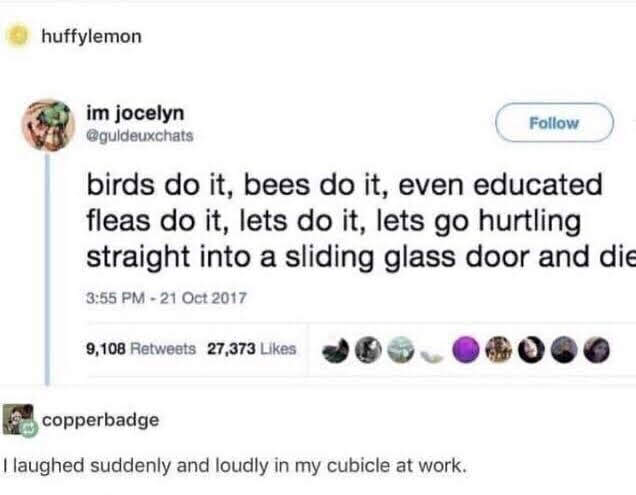 Birds do it | Scrolller