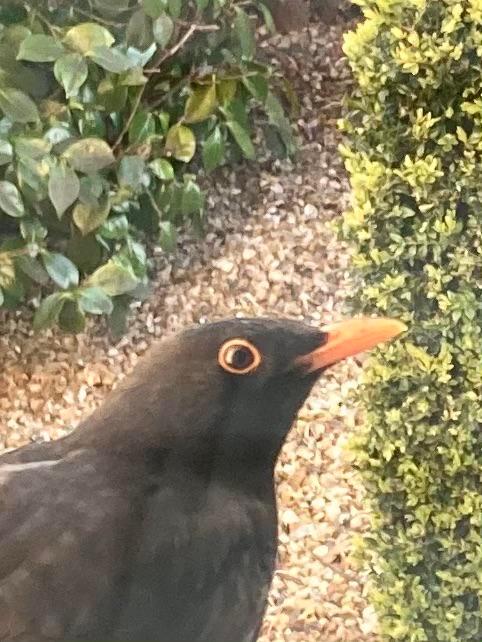 Birds eye view | Scrolller