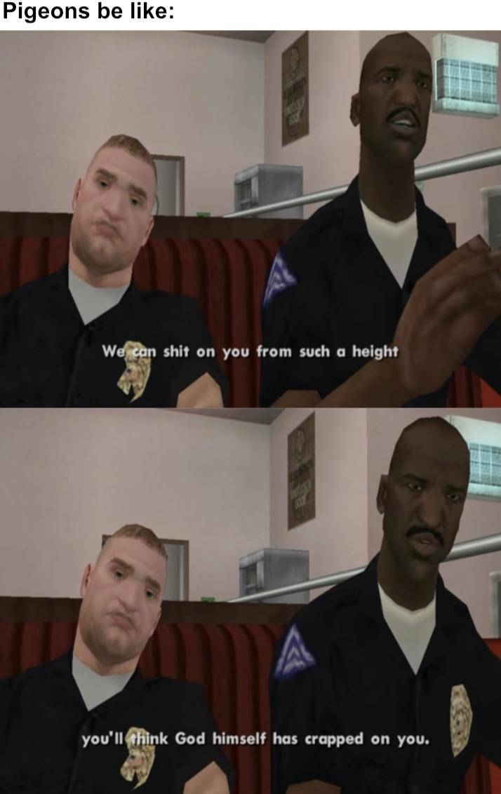 Birds flying | Scrolller