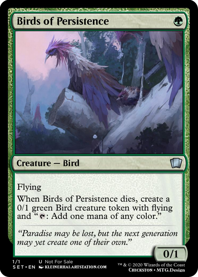 Birds of Persistence | Scrolller
