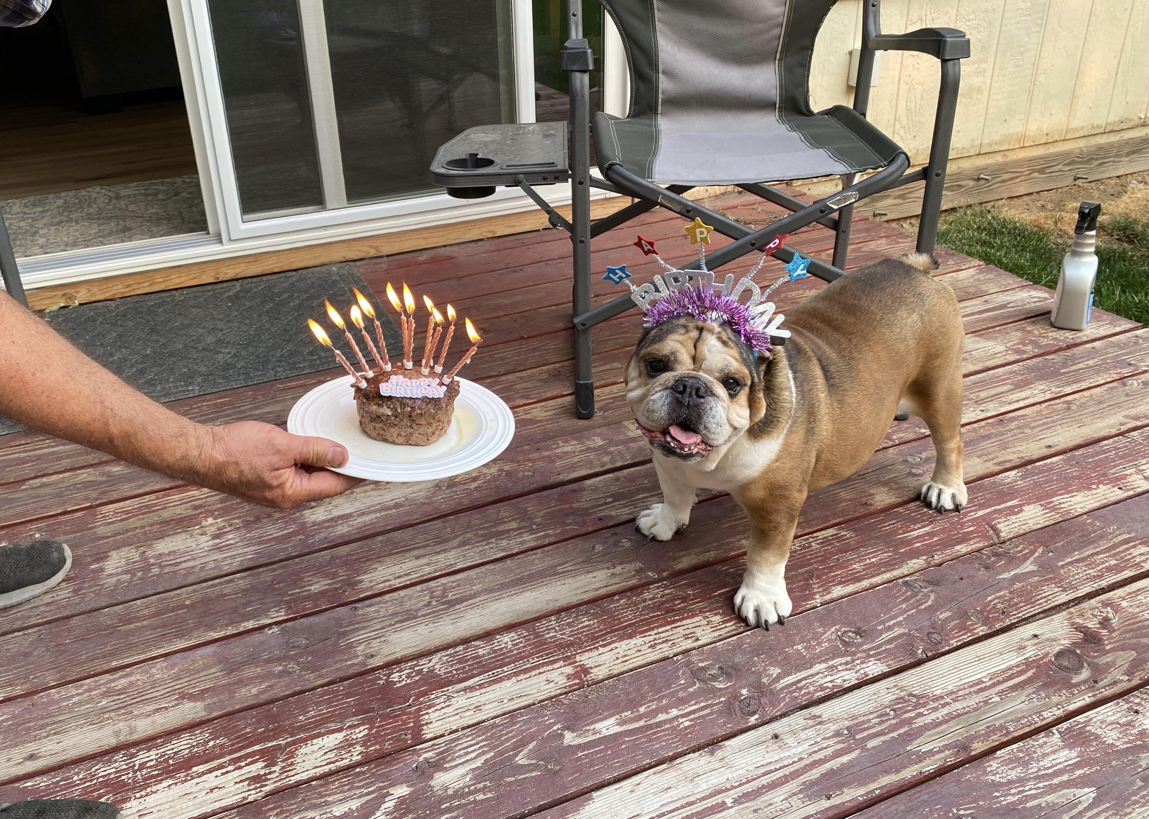 Birthday boy gets a meatloaf | Scrolller