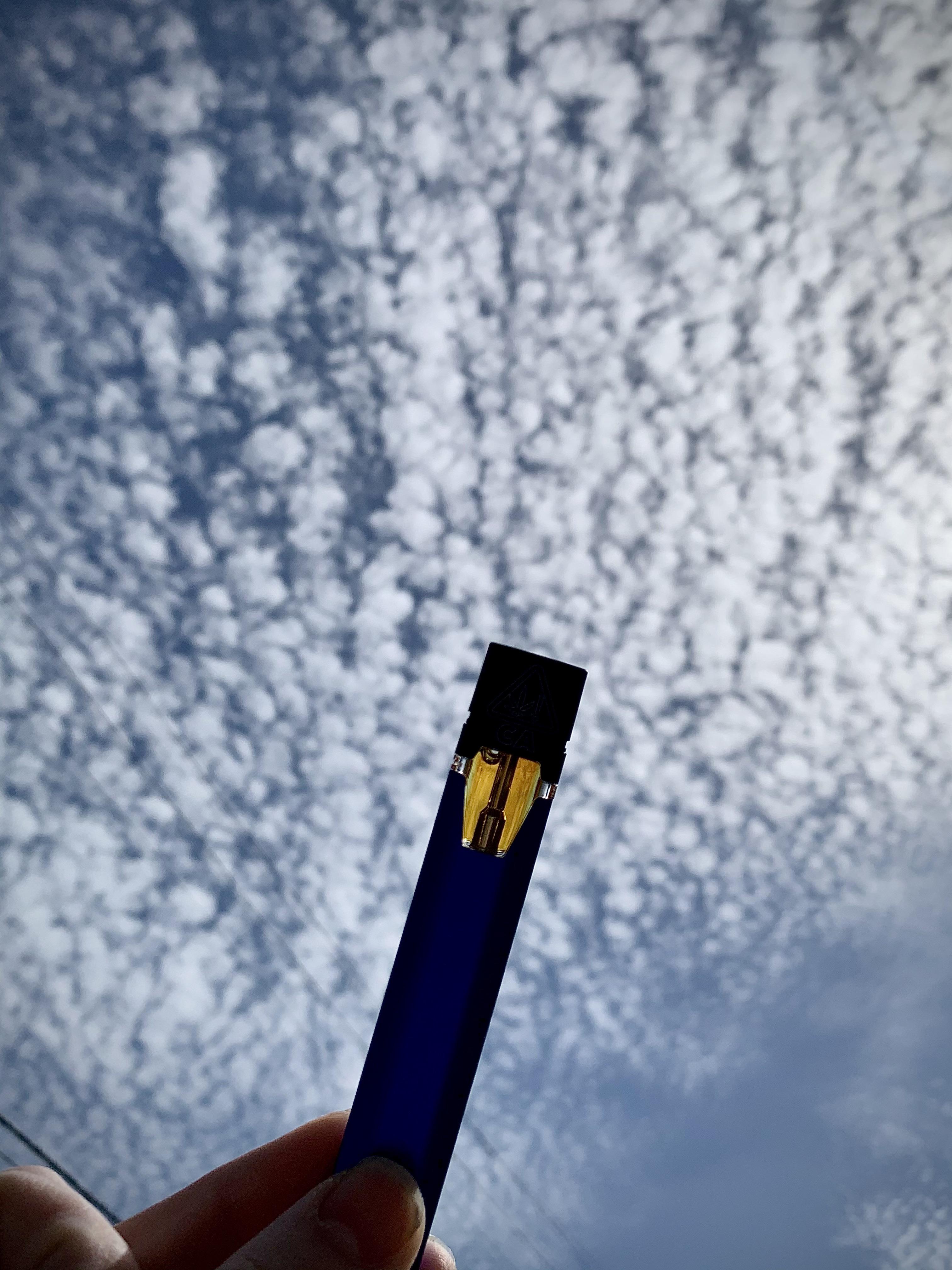 🔥Biscotti Stiiizy🔥with some beautiful clouds☁️ what a day! | Scrolller