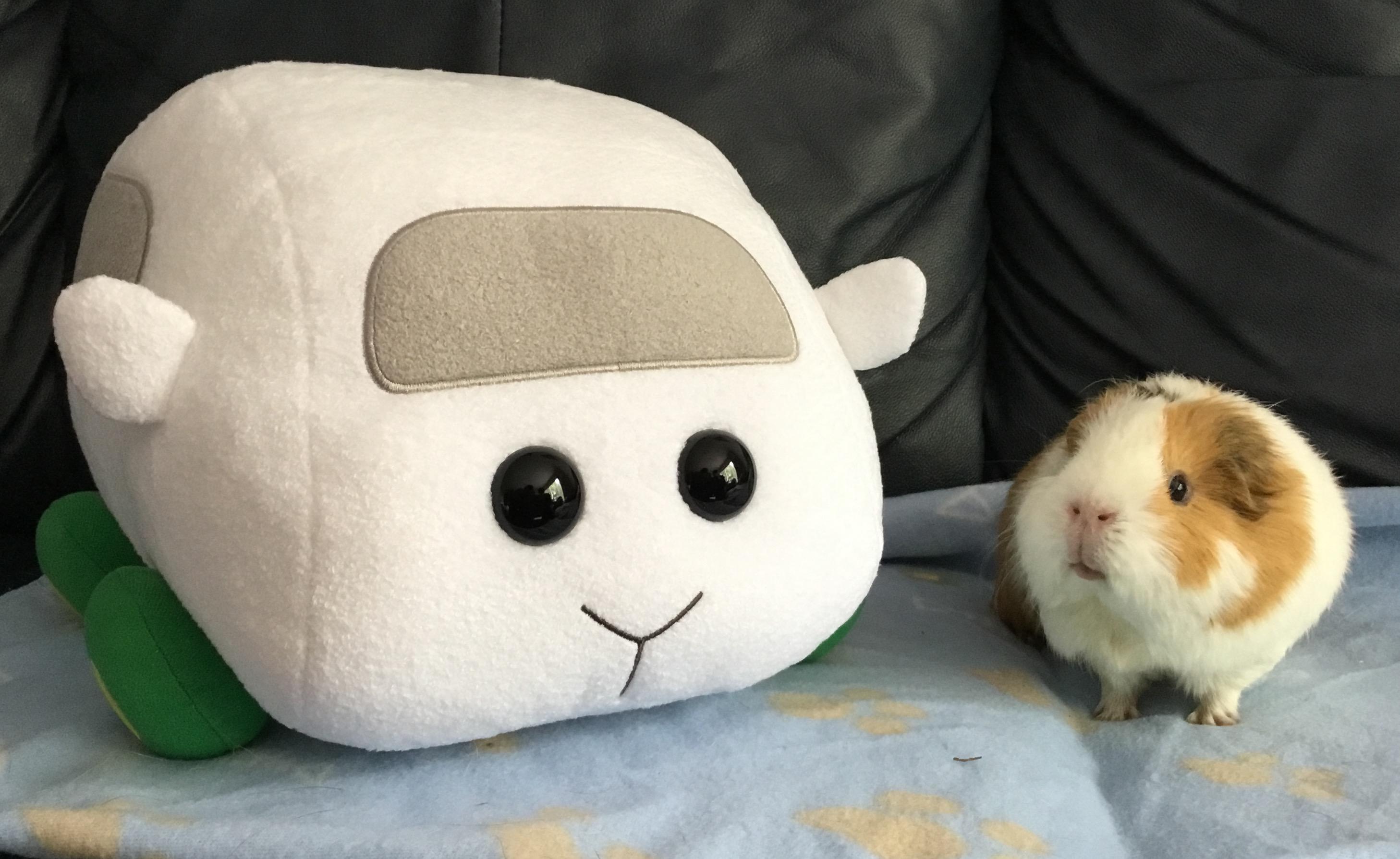 Biscuit meets her idol Shiromo from Pui Pui Molcars | Scrolller