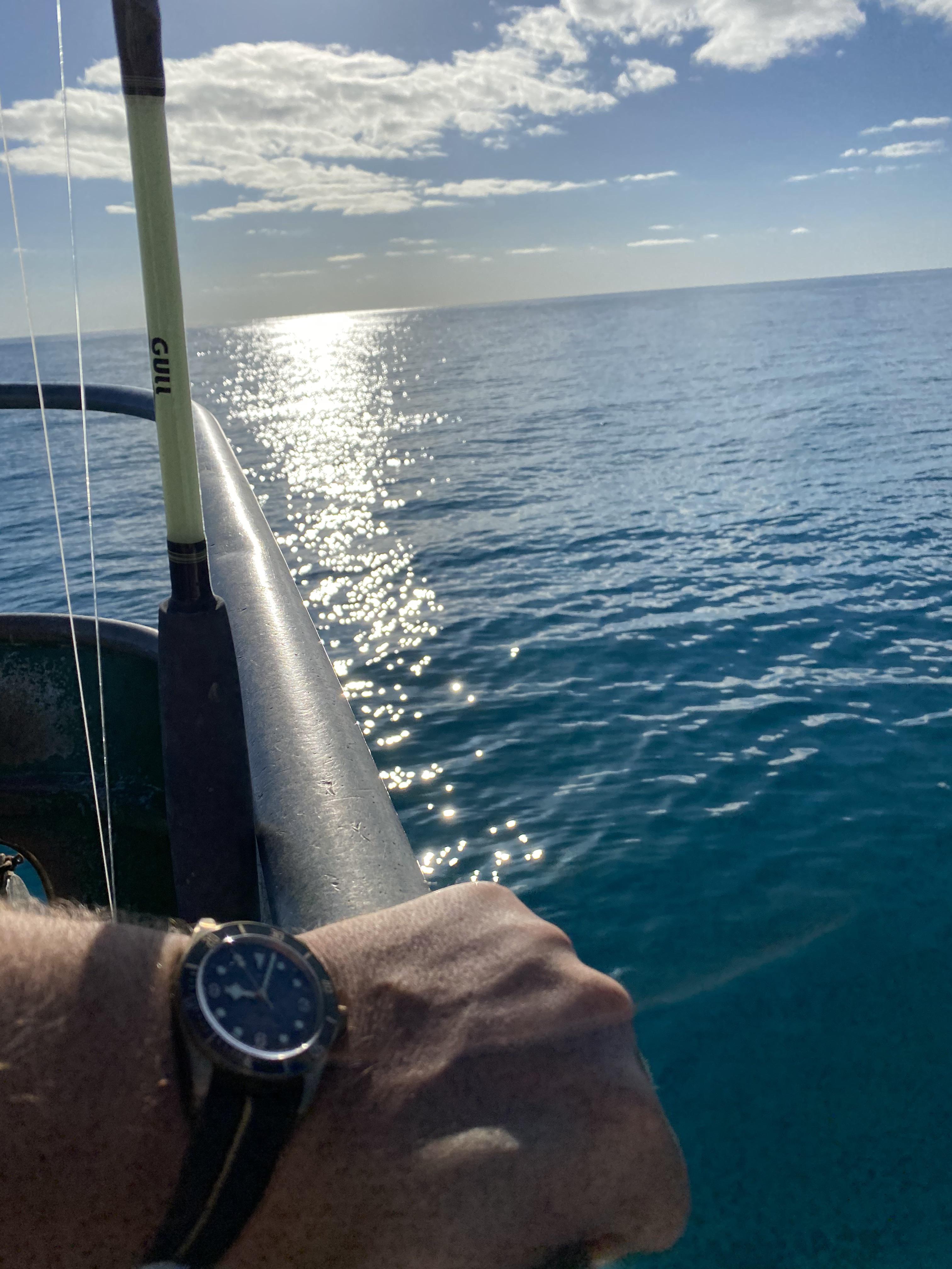 Black Bay Bronze heading out to sea. | Scrolller