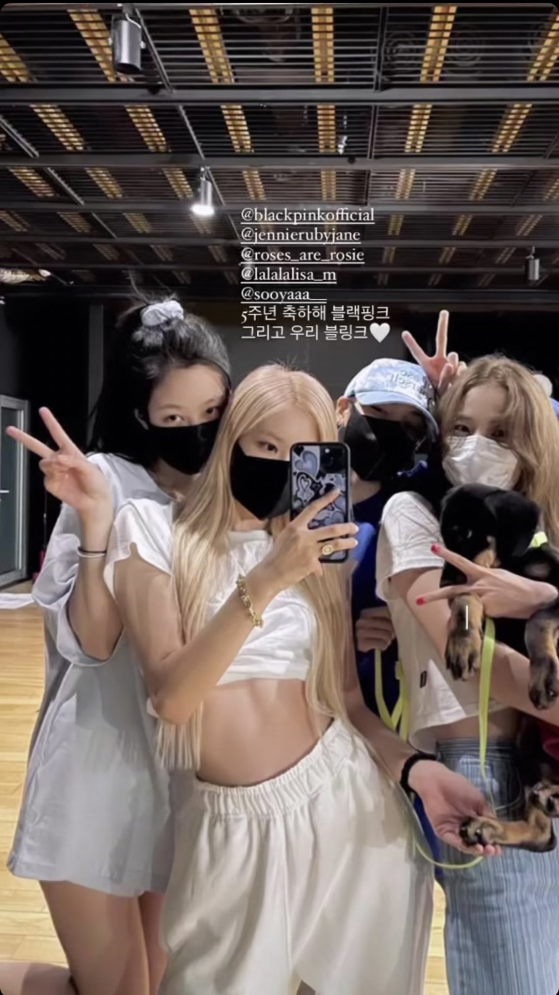 Blackpink - Jisoo,Jennie,Rosé,Lisa | Scrolller