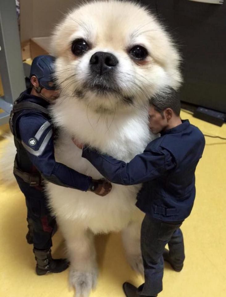 Blessed_Hug | Scrolller