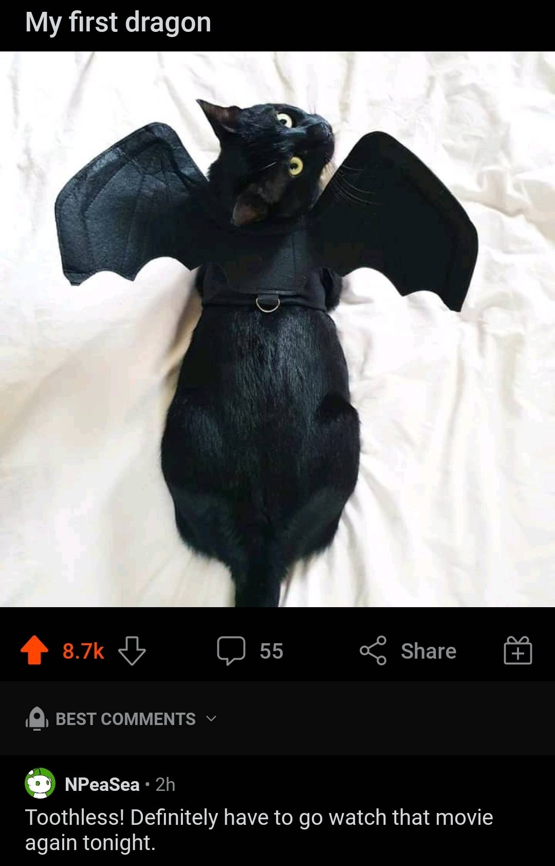 Blessed Toothless | Scrolller