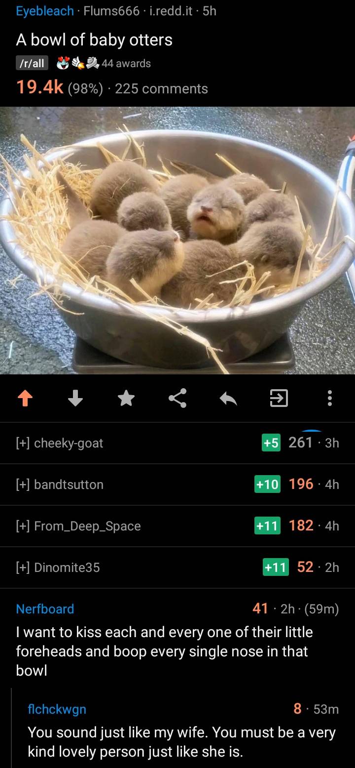 blessed_wife | Scrolller