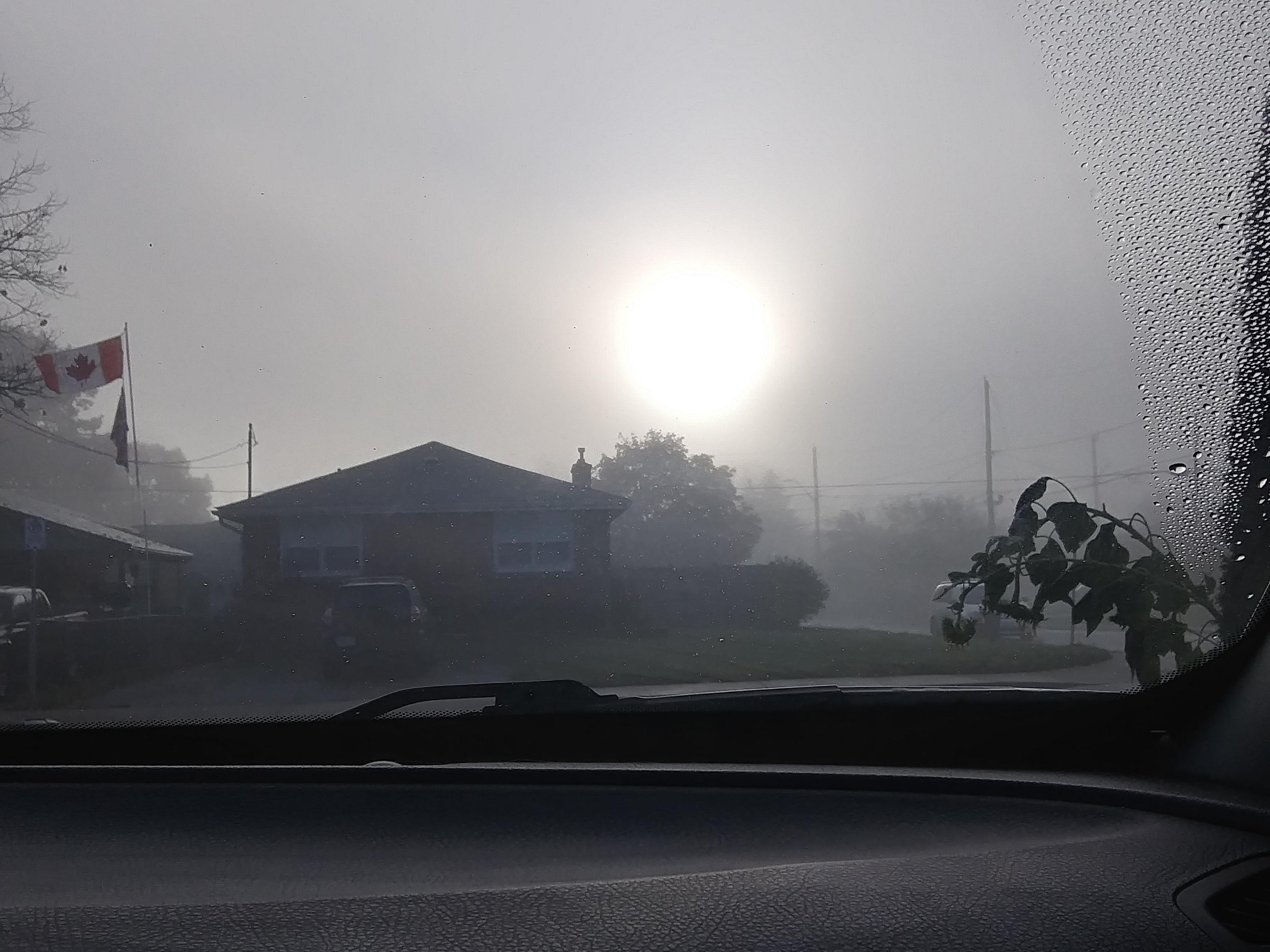 Blinding light | Scrolller