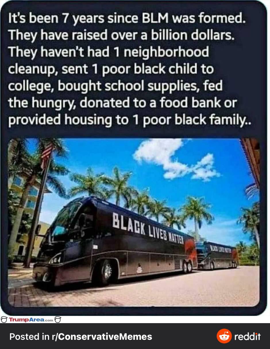 BLM hasn’t actually helped ANYONE. | Scrolller
