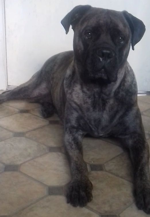 Blocking the door way again... | Scrolller