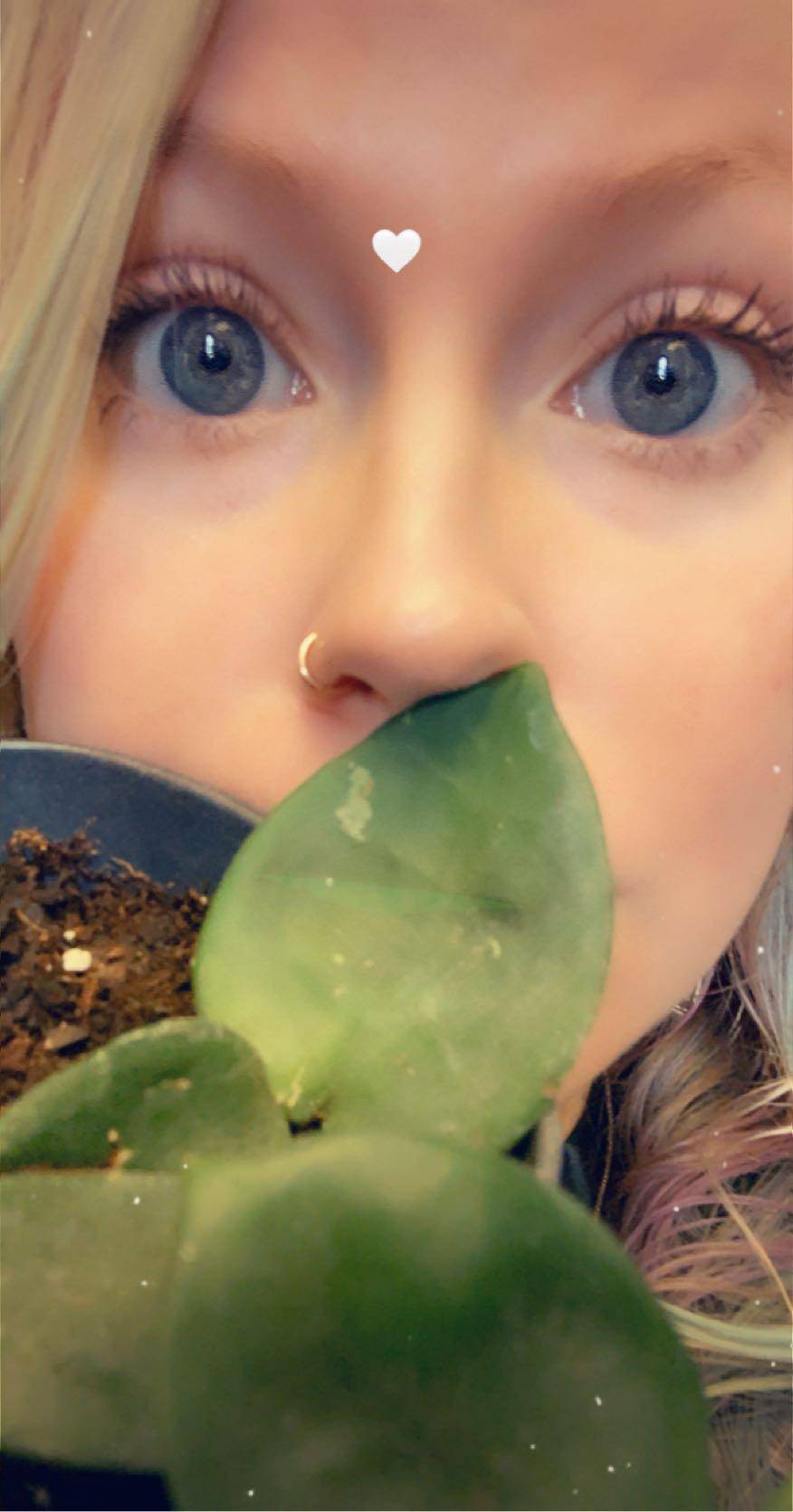 Bluegreygreen What Do You Think Just Me And My Fav Thing🌿🍄 Scrolller