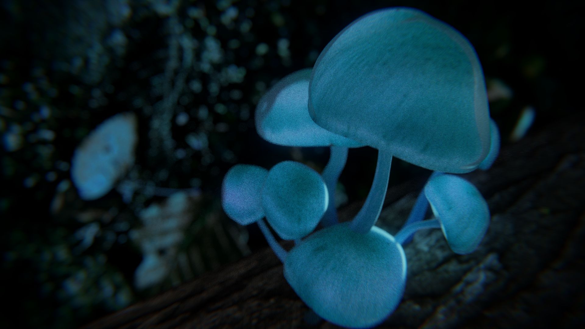 Blue Mushrooms | Scrolller