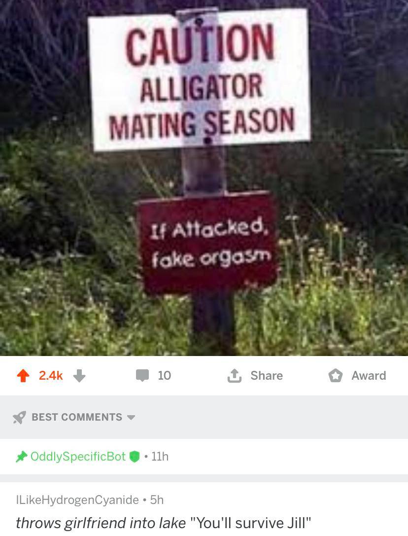 Blursed_alligator | Scrolller