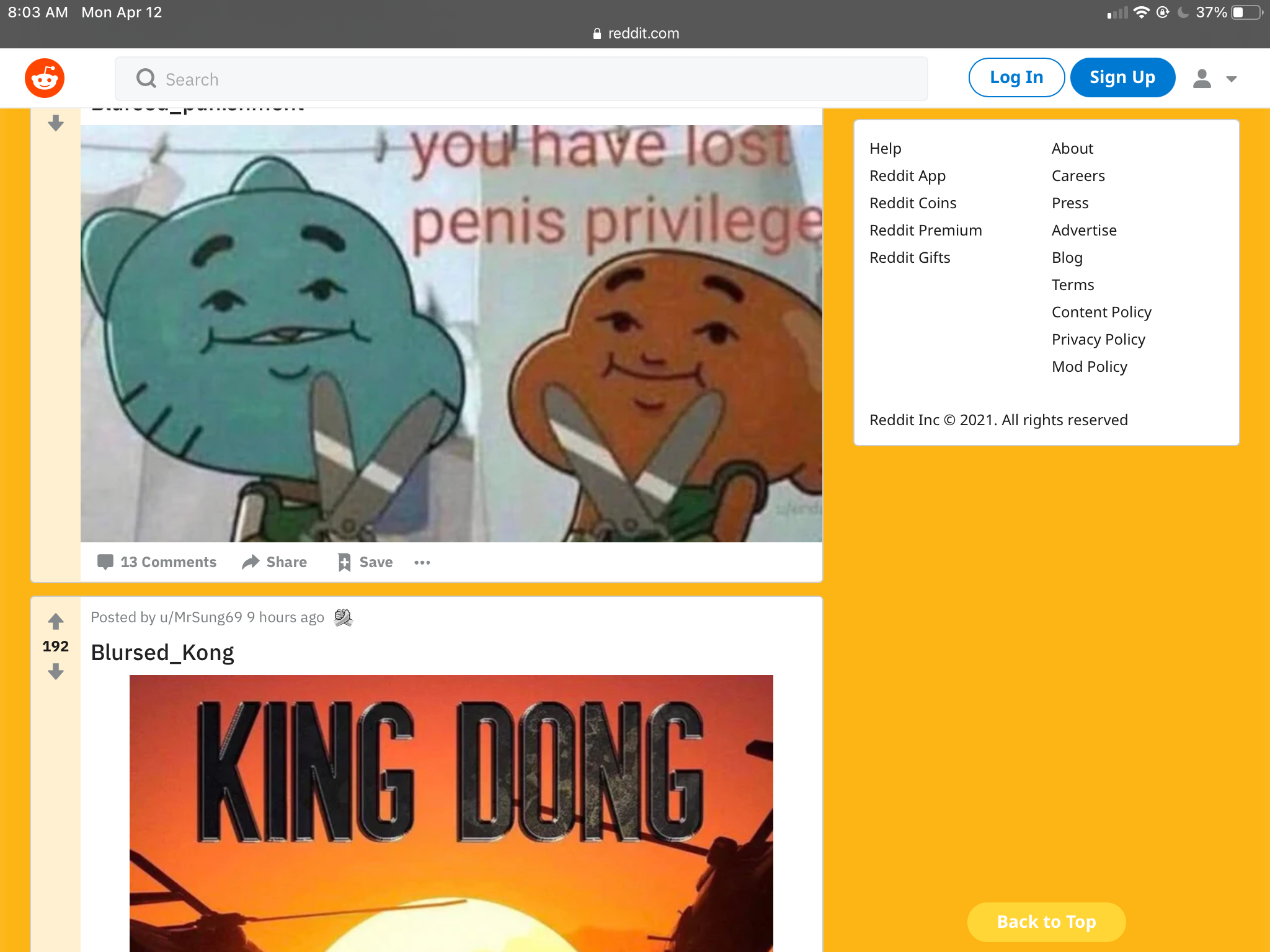 Blursed_arrangement | Scrolller