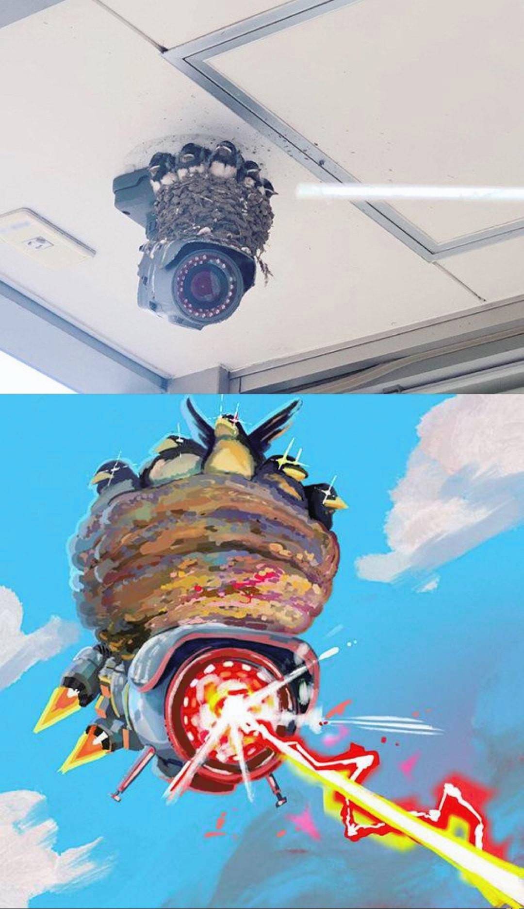 Blursed birds nest | Scrolller