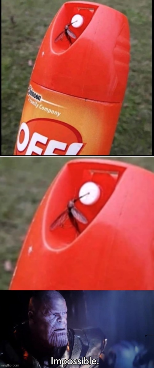 Blursed Bug Spray | Scrolller