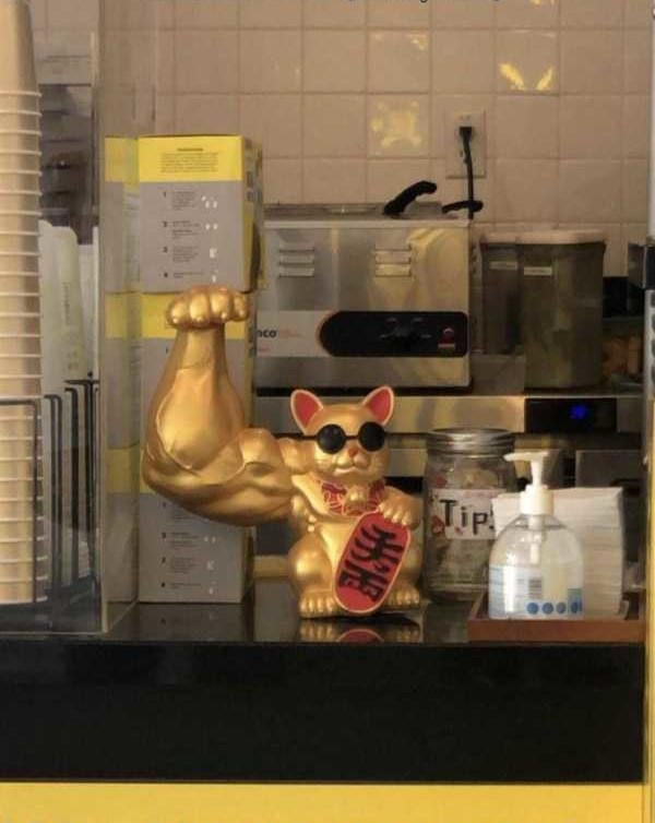 Blursed_Cat | Scrolller