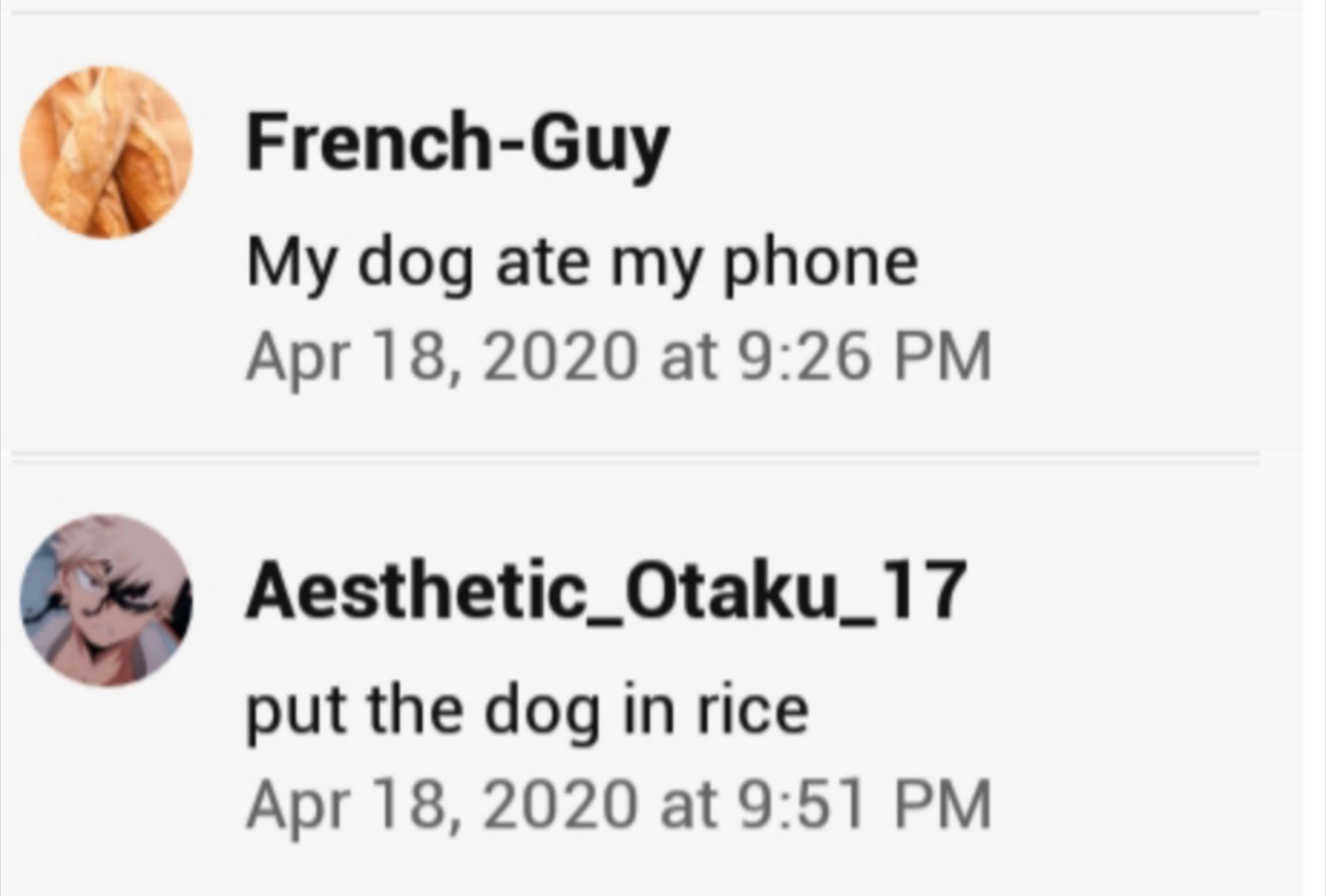 Blursed_Dog | Scrolller