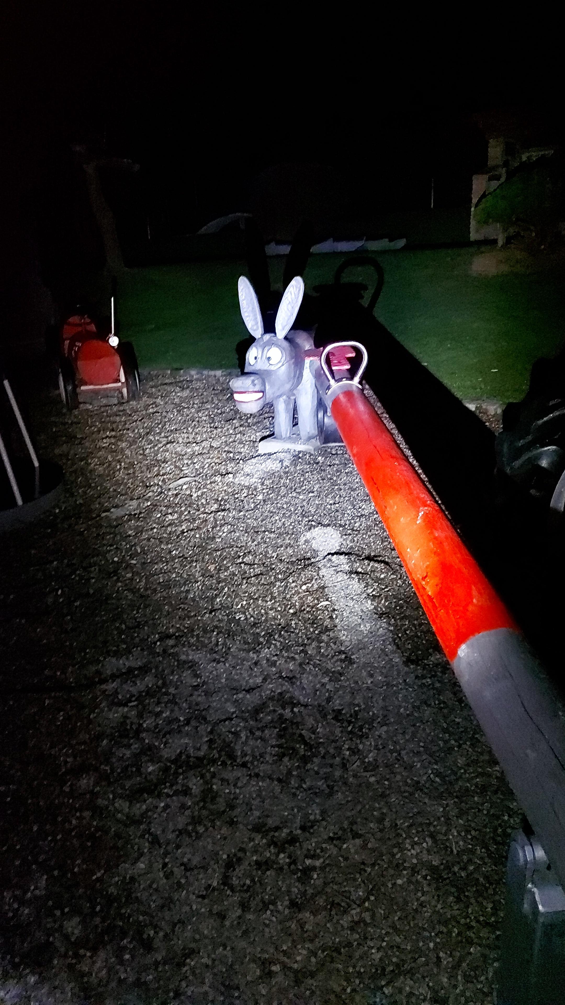 Blursed donkey | Scrolller