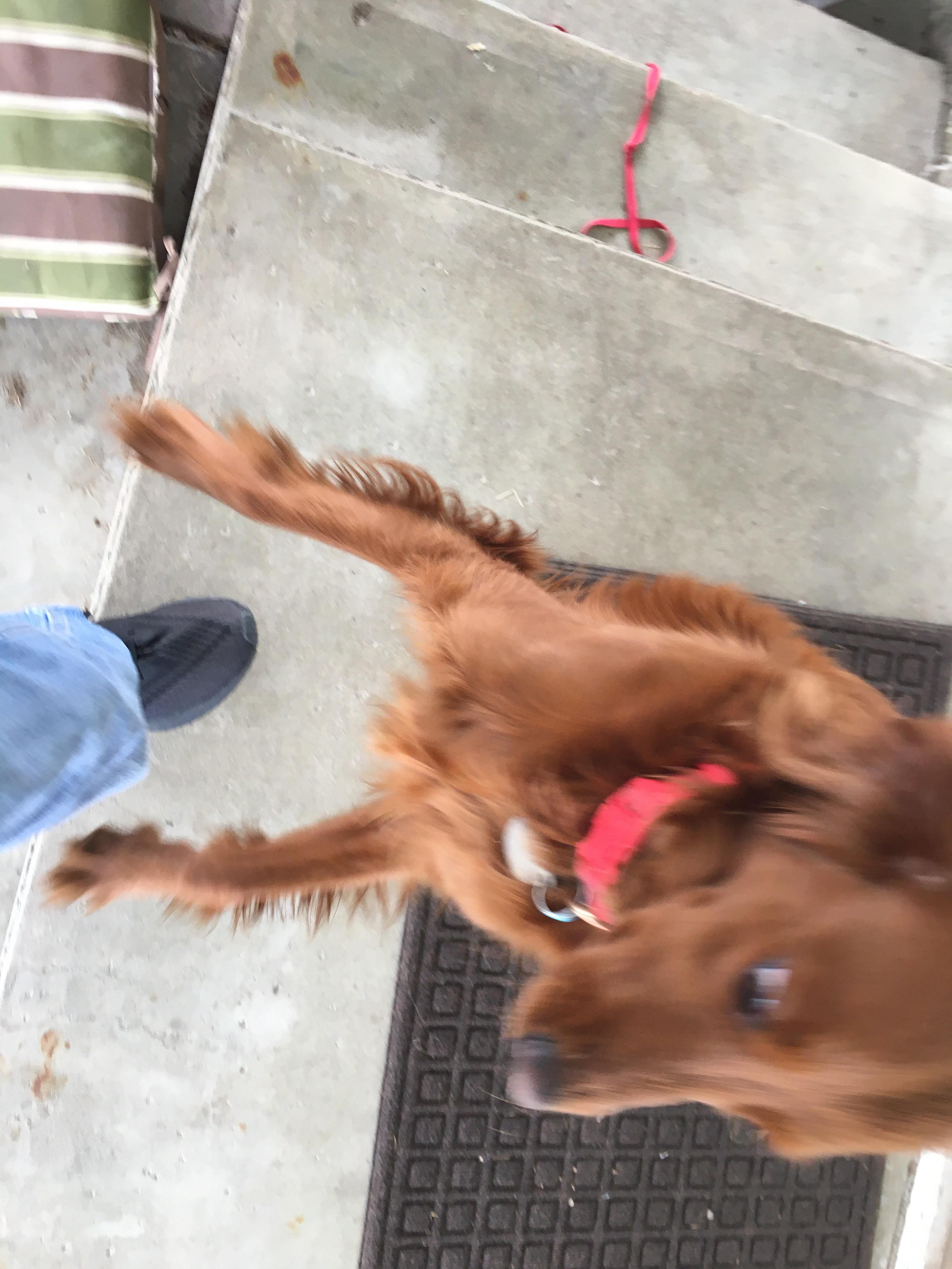 Blursed execution | Scrolller