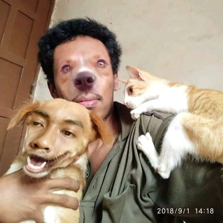 Blursed FaceSwap | Scrolller