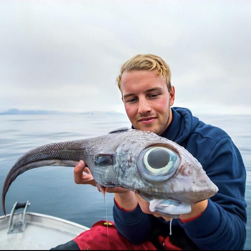 blursed_fish | Scrolller