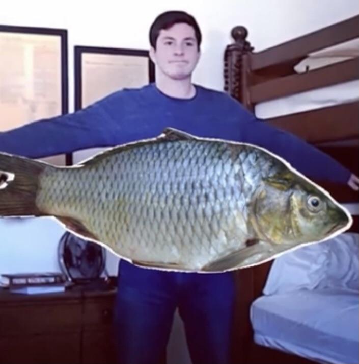 Blursed fishing | Scrolller