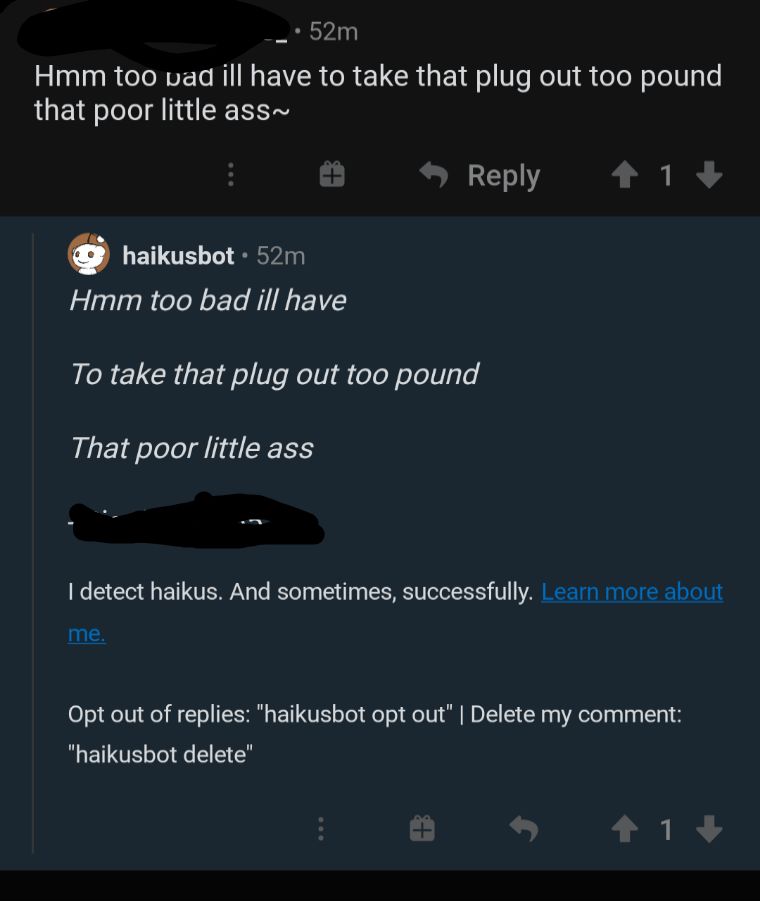 Blursed_haiku | Scrolller