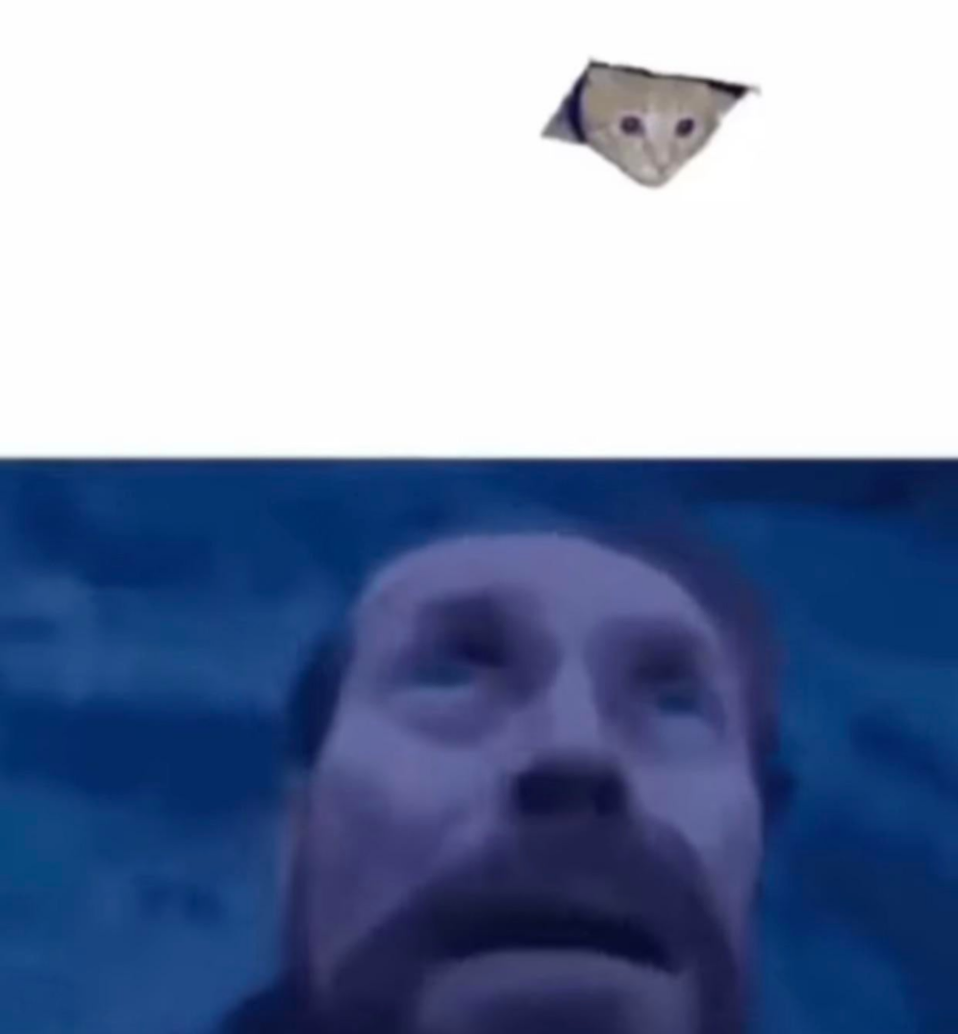 Blursed_peekaboo | Scrolller