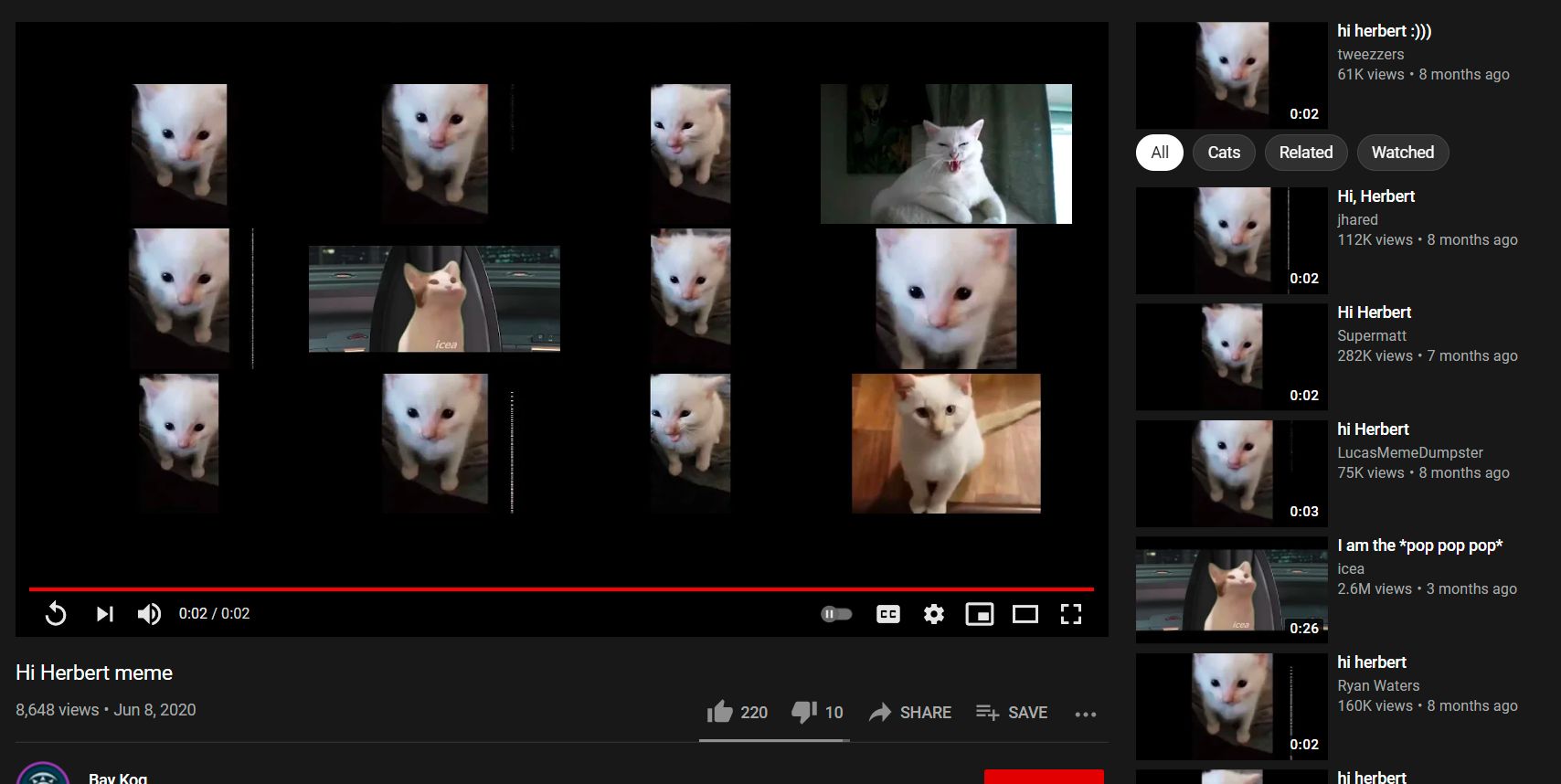 Blursed_Recommended | Scrolller