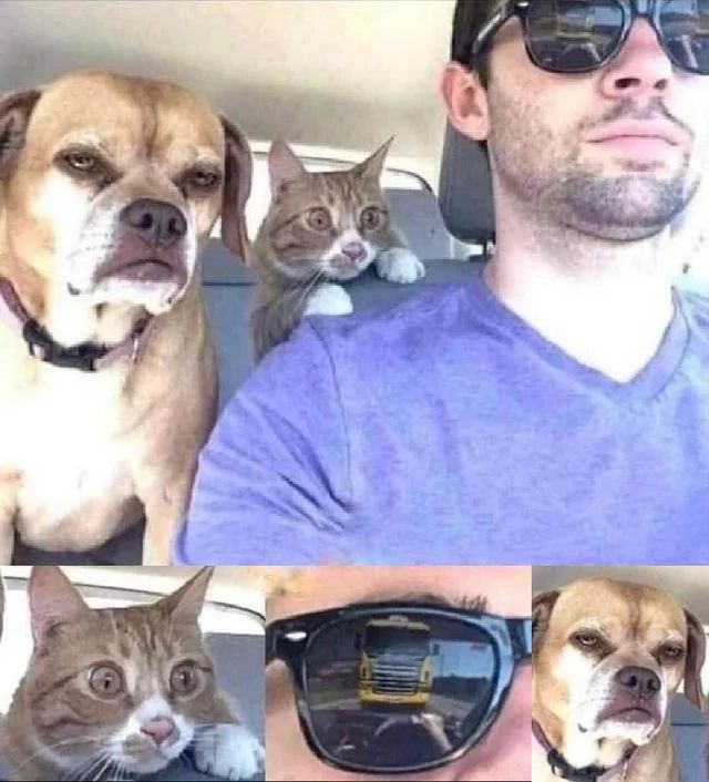 Blursed Ride | Scrolller