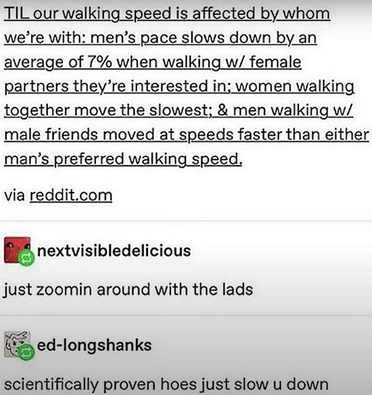 blursed_science | Scrolller