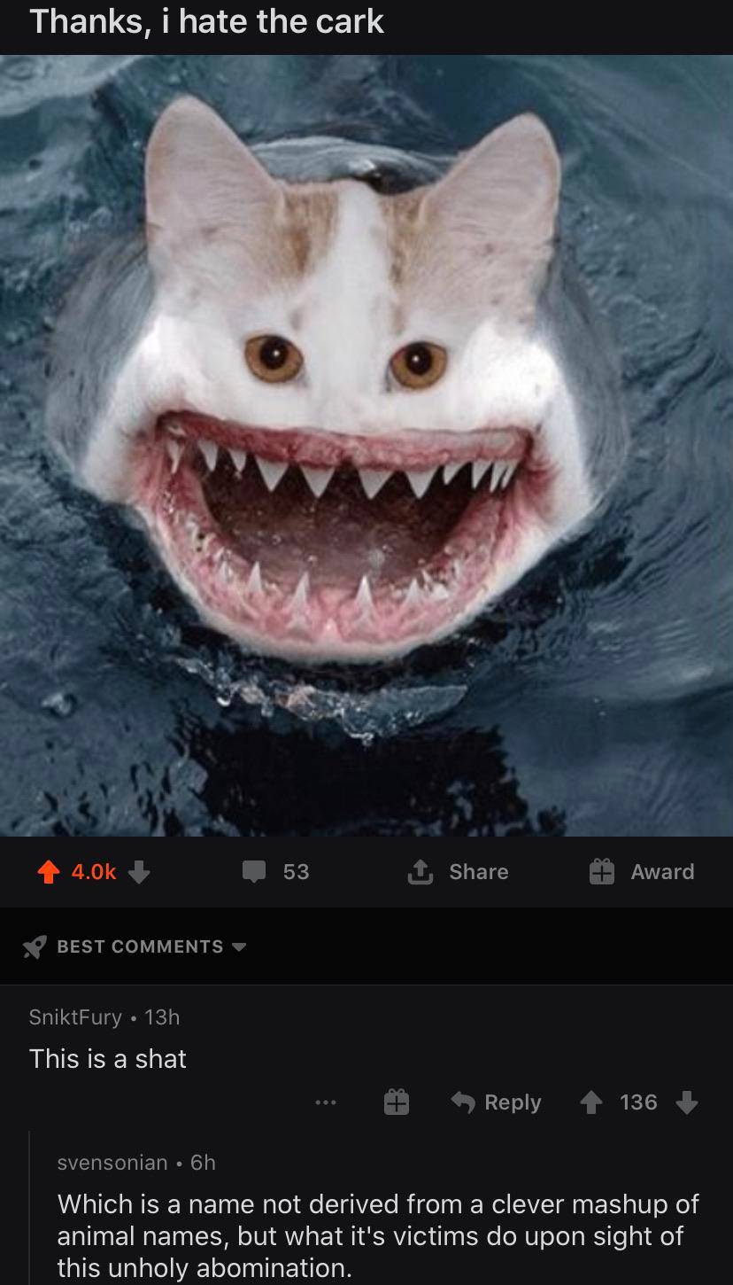 blursed_shat | Scrolller