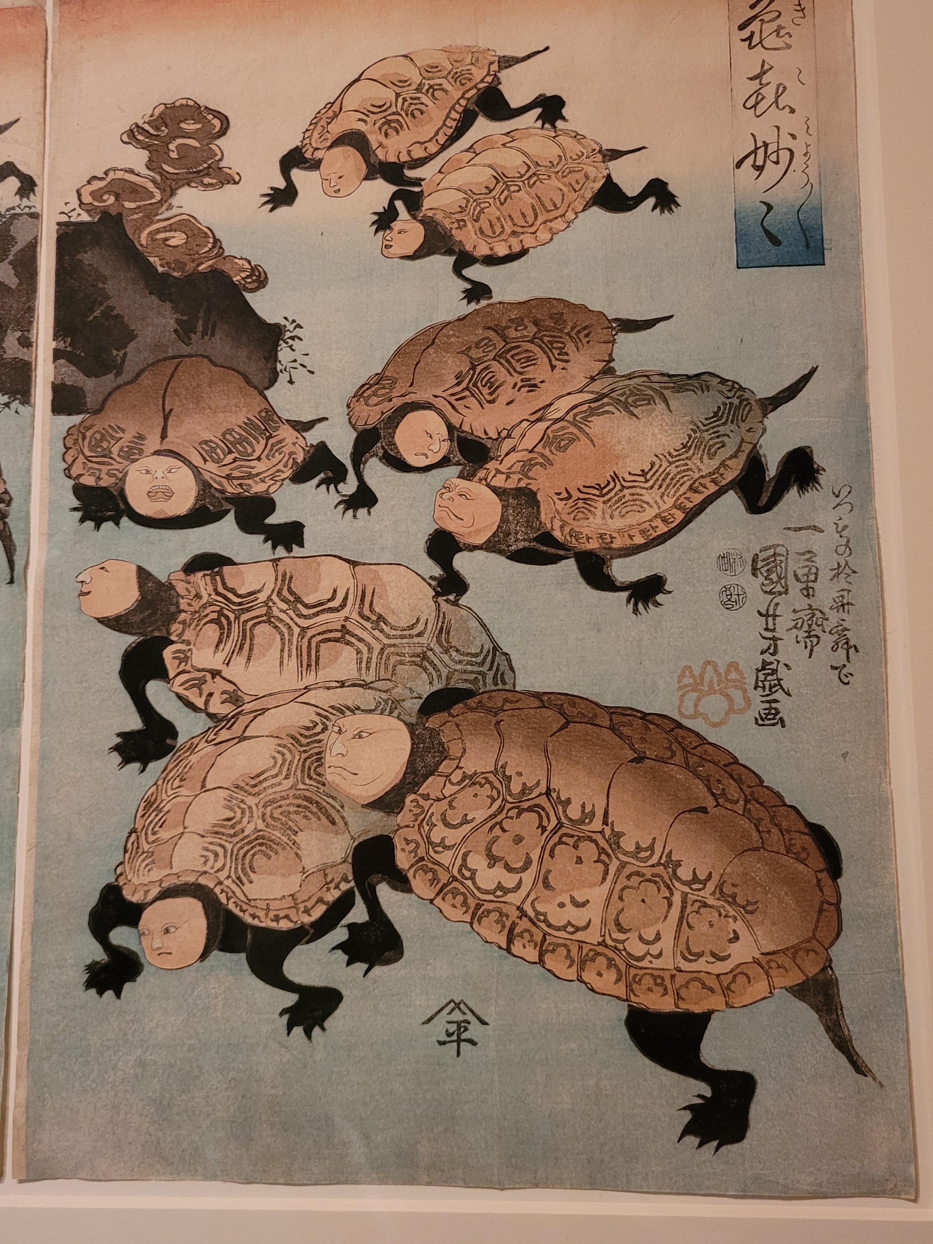 Blursed_Turtles | Scrolller