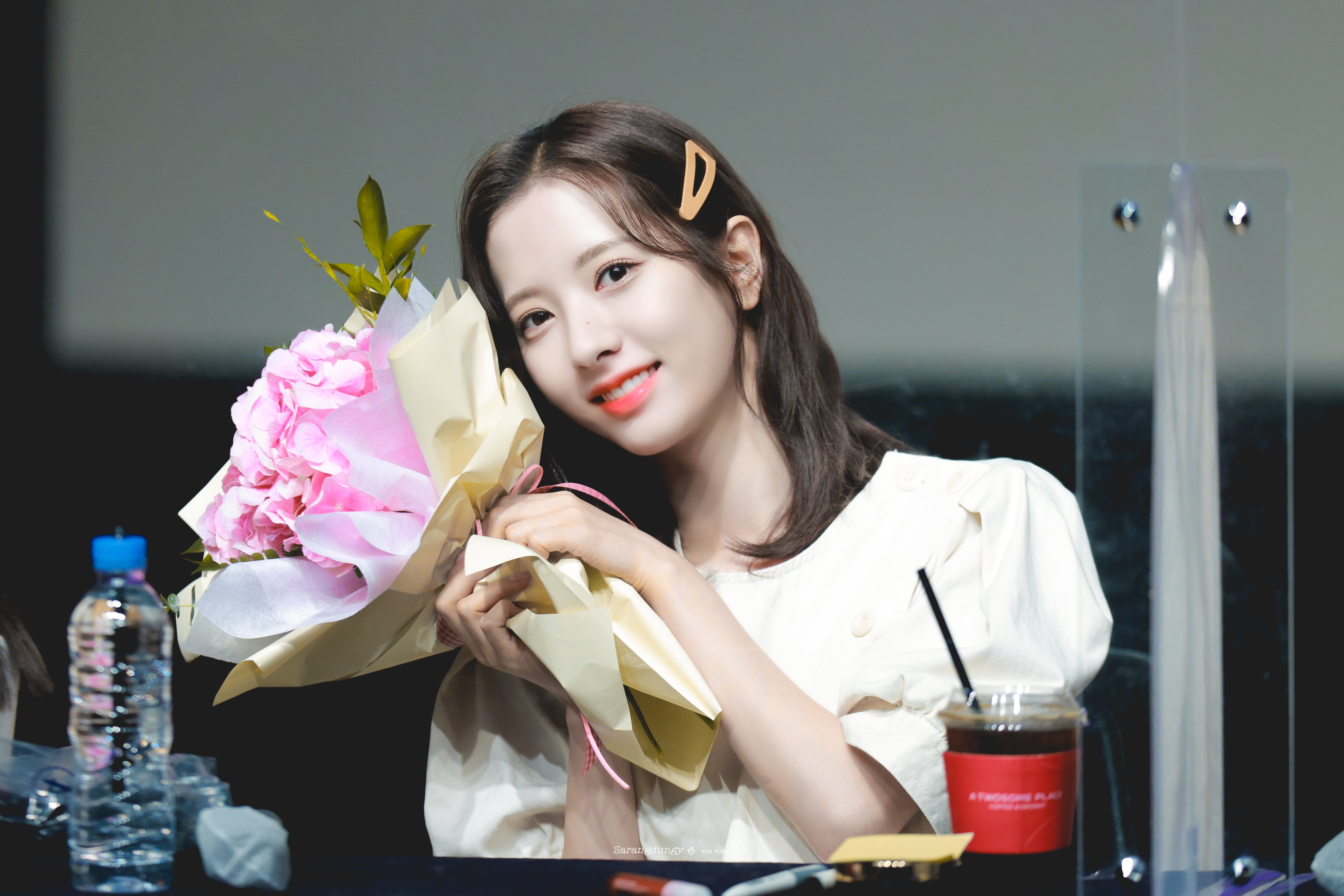 Bona 💐 | Scrolller