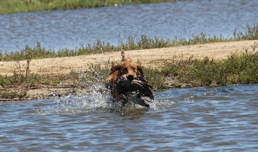 Bones Practicing For His HT | Scrolller