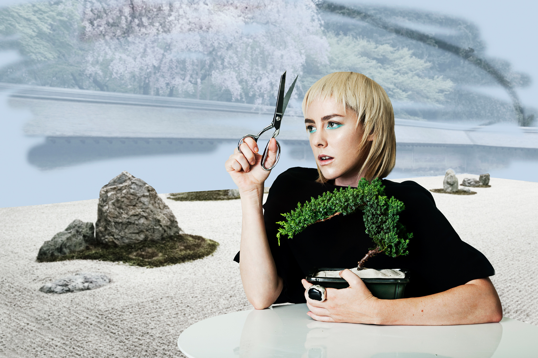 Bonsai Tree | Scrolller