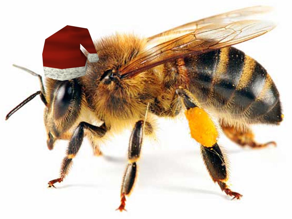 Bonus Bee #1 | Scrolller