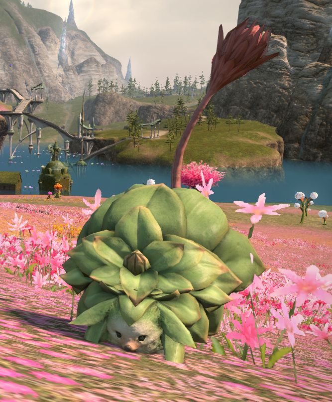 boop the snoot | Scrolller