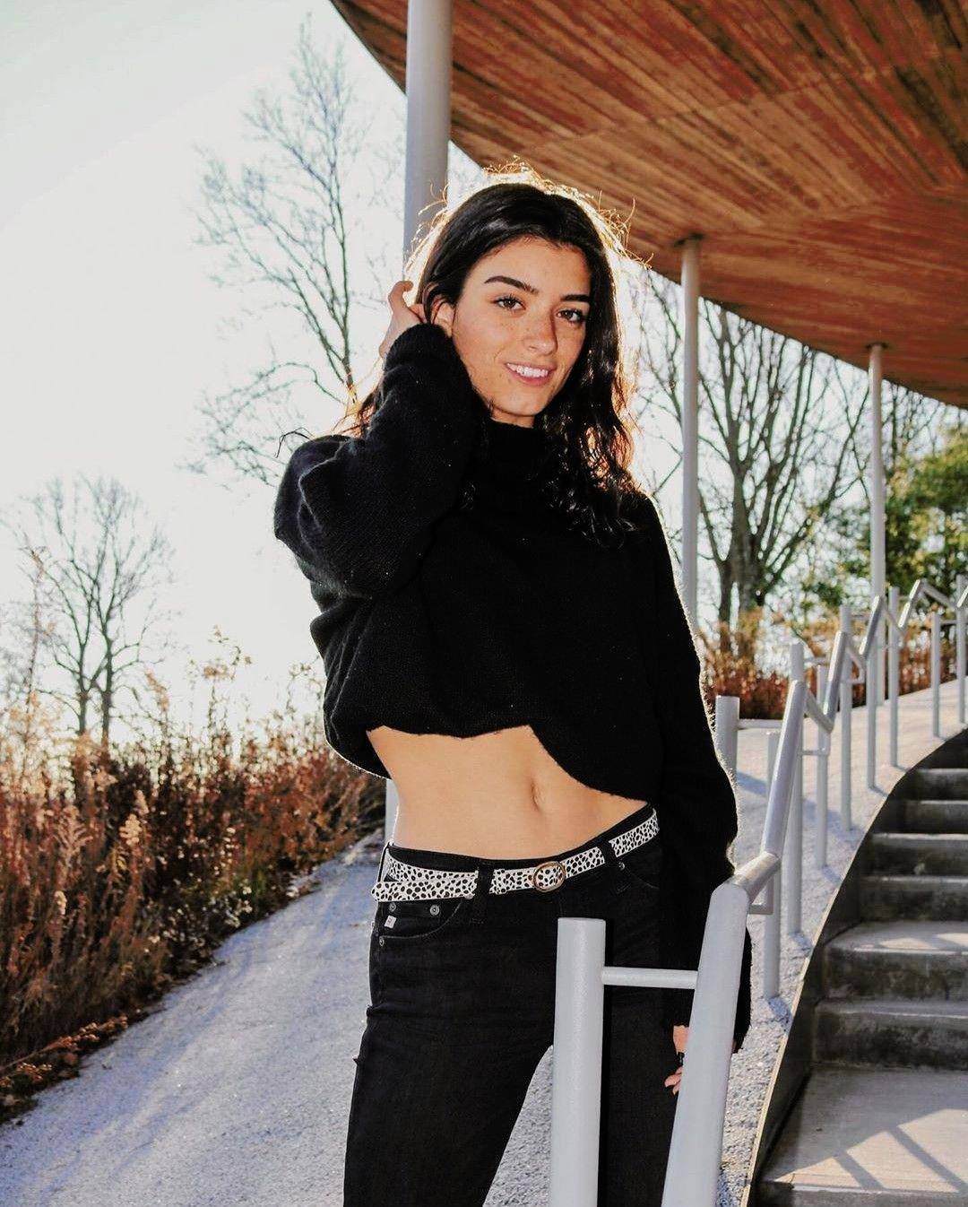 Bored af, anyone wanna help me bust rq for Dixie? Info down below | Scrolller