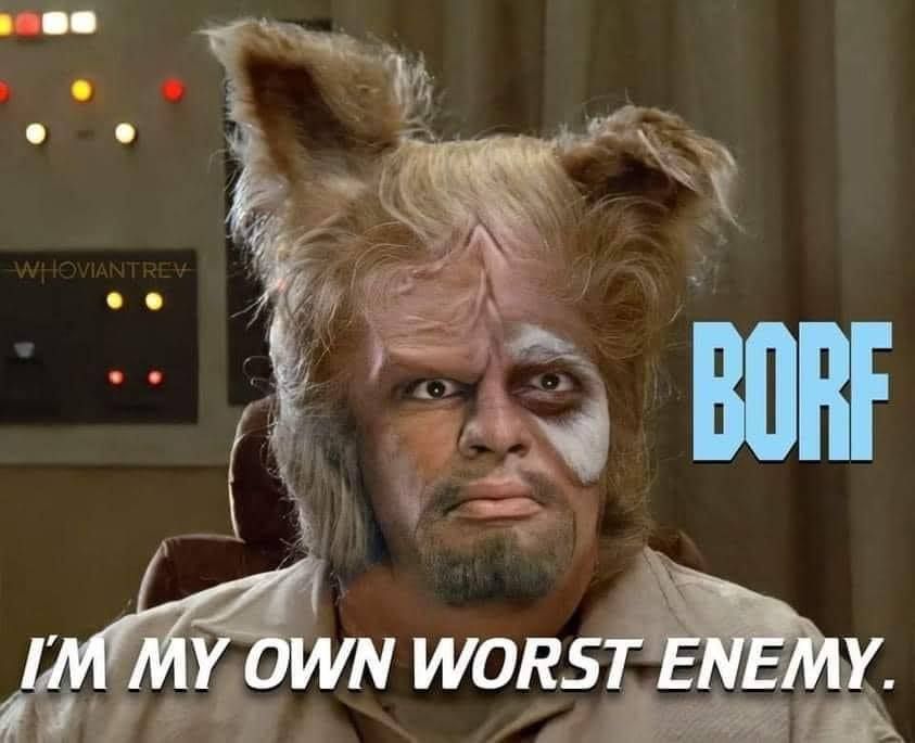 BORF : The crossover you were waiting for | Scrolller